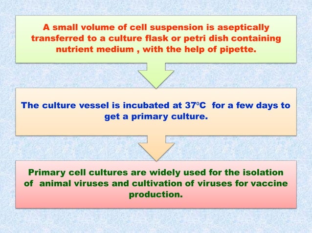 cultivation of viruses | PPT