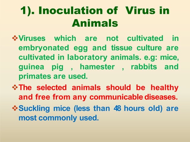 cultivation of viruses | PPT