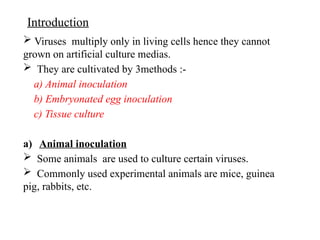 CULTIVATION OF VIRUSES 2.pptx of microbiology | PPT
