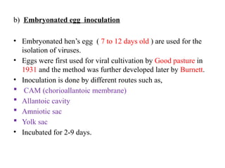 CULTIVATION OF VIRUSES 2.pptx of microbiology | PPTX