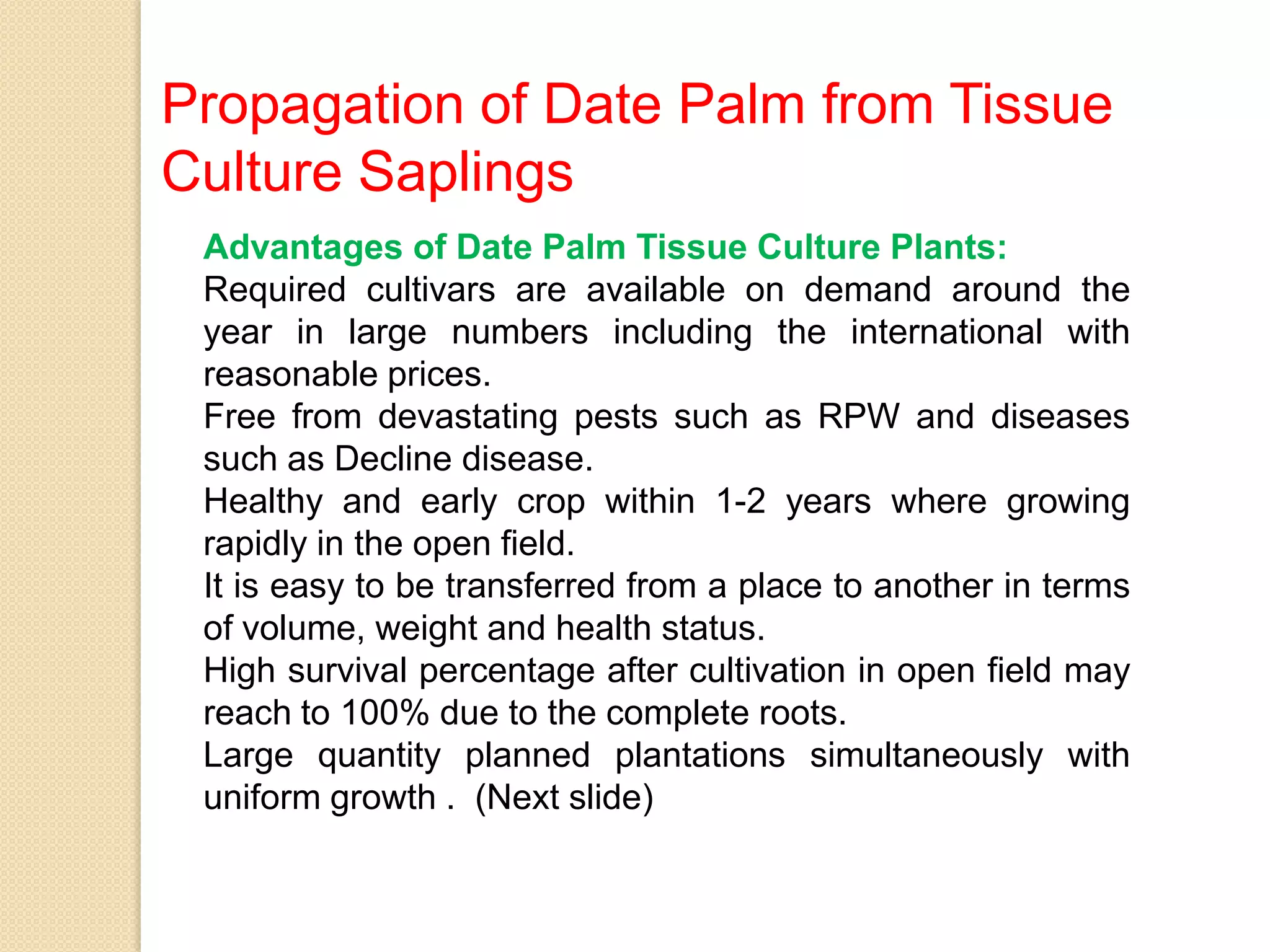 Cultivation practice of Arabian Date Palm P. dactylifera | PDF