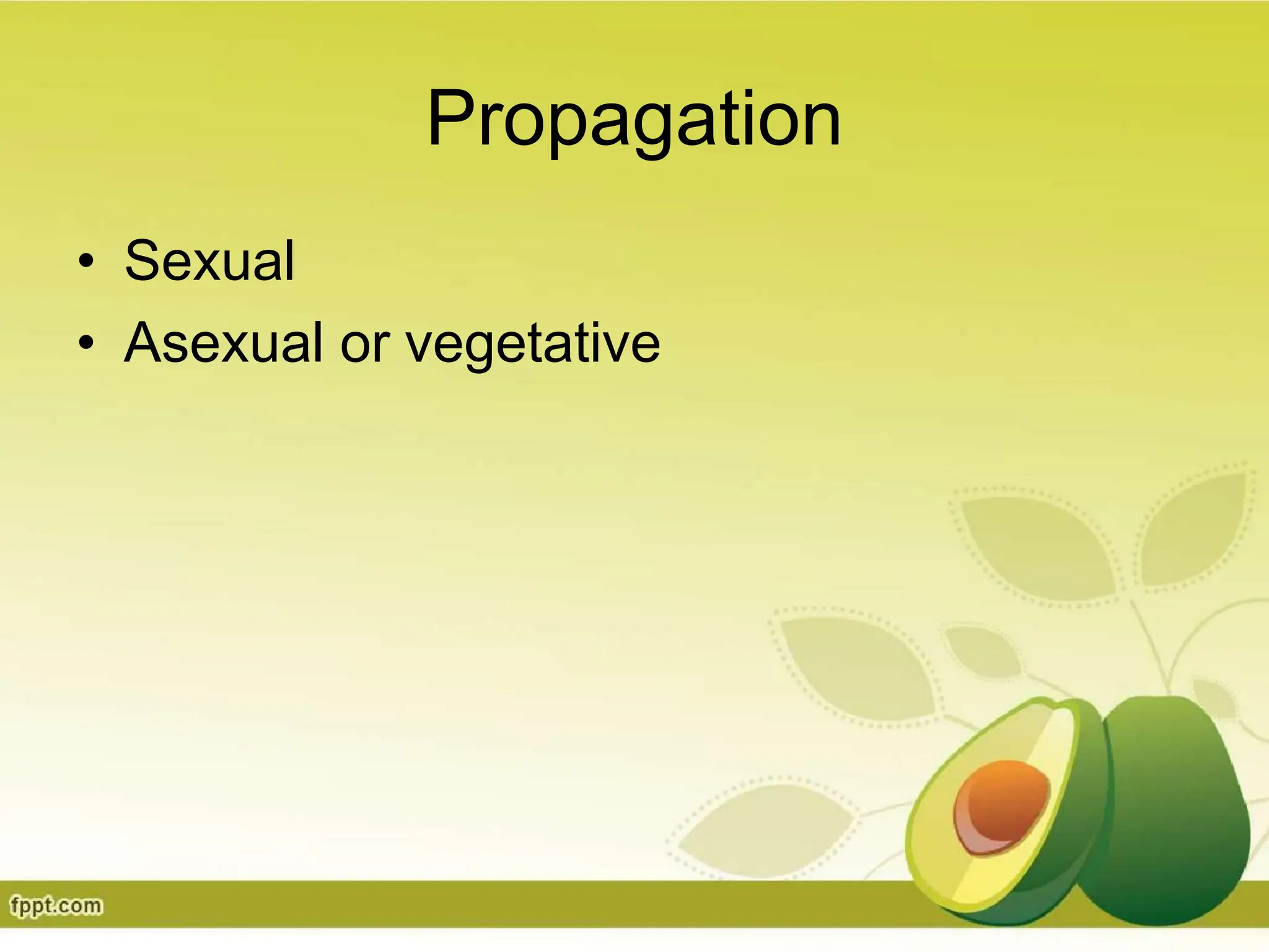 Cultivation Practice of Avocado in Nepal.pptx