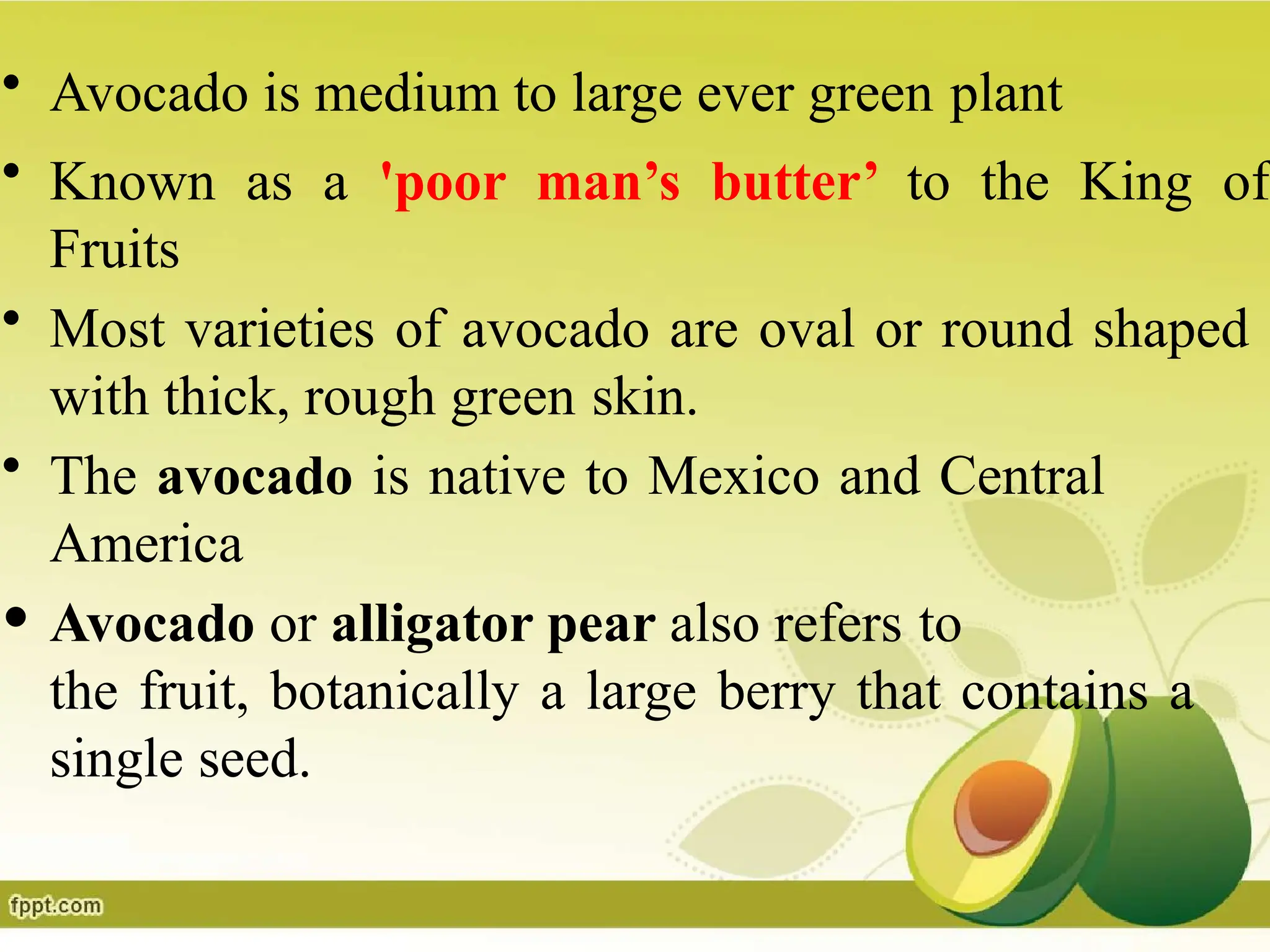 Cultivation Practice of Avocado in Nepal.pptx