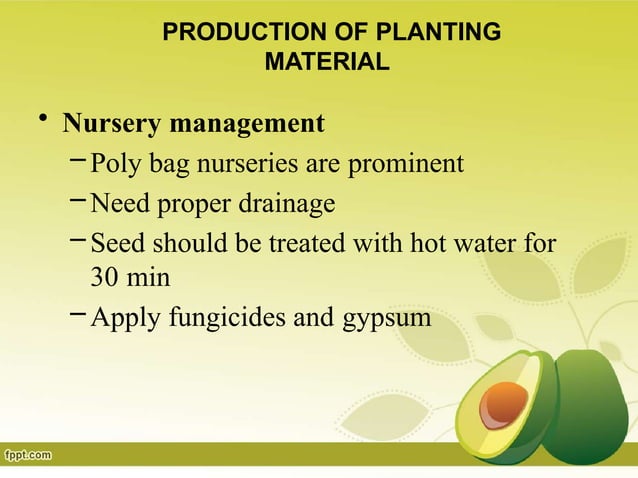 Cultivation Practice of Avocado in Nepal.pptx | Flower Shopping | Shopping