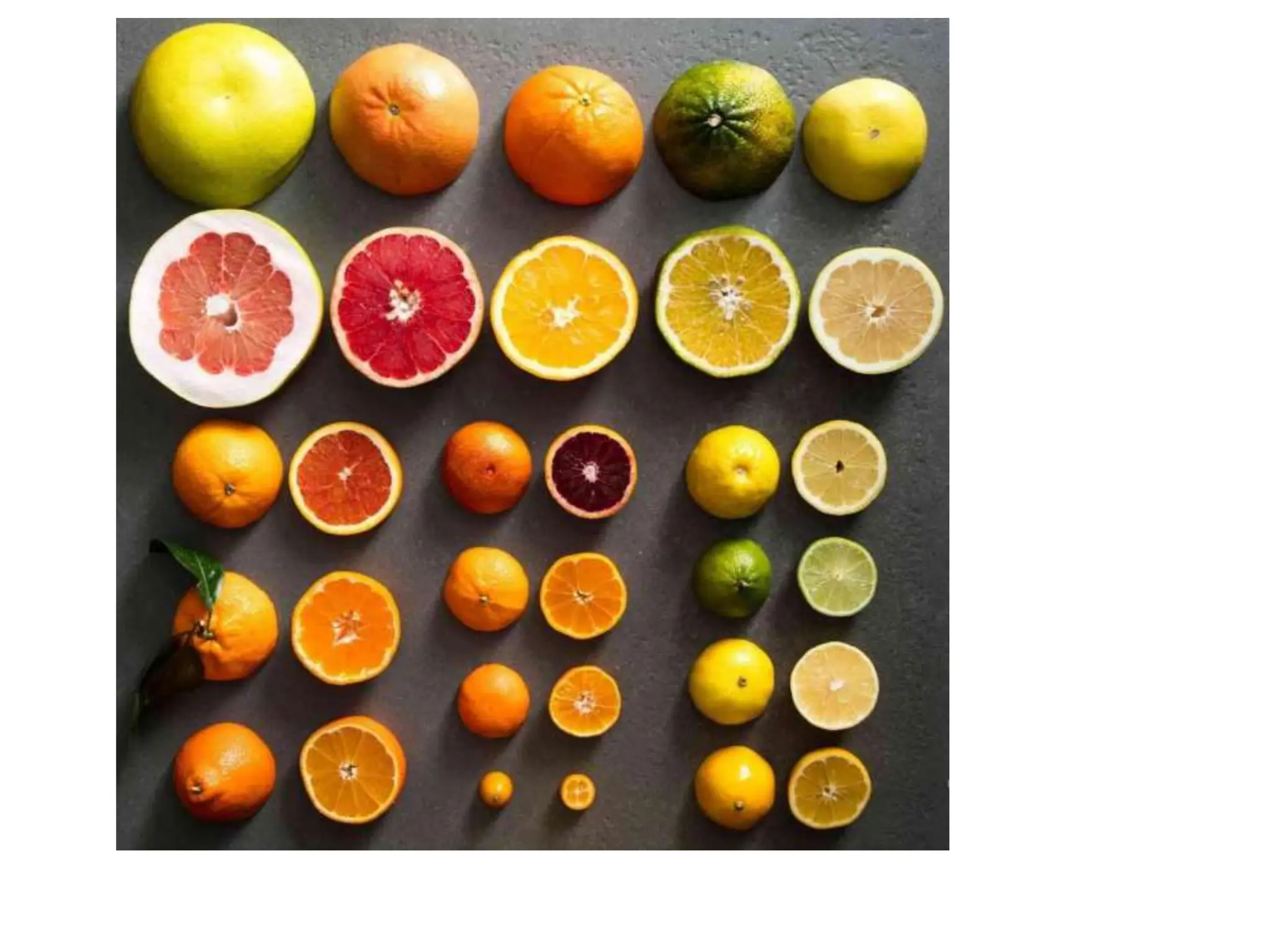 Cultivation practice of citrus in Nepal.pptx