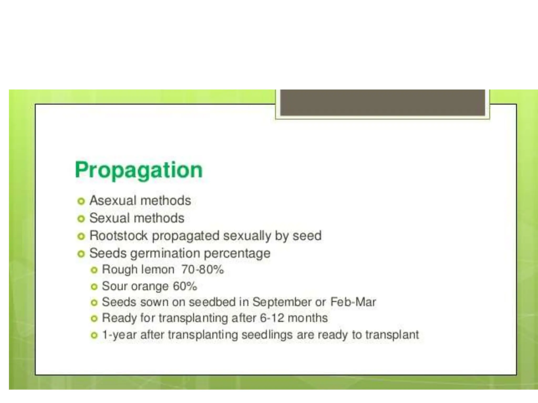 Cultivation practice of citrus in Nepal.pptx