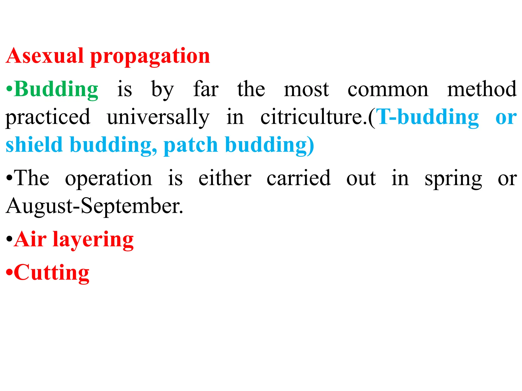 Cultivation practice of citrus in Nepal.pptx