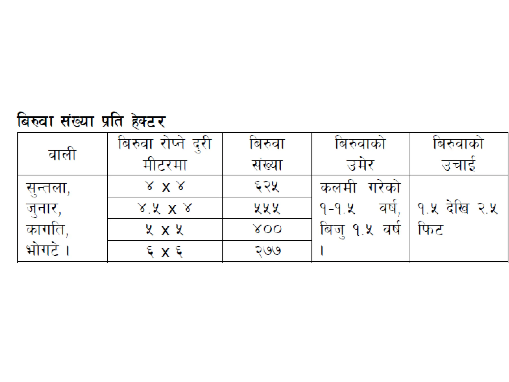 Cultivation practice of citrus in Nepal.pptx