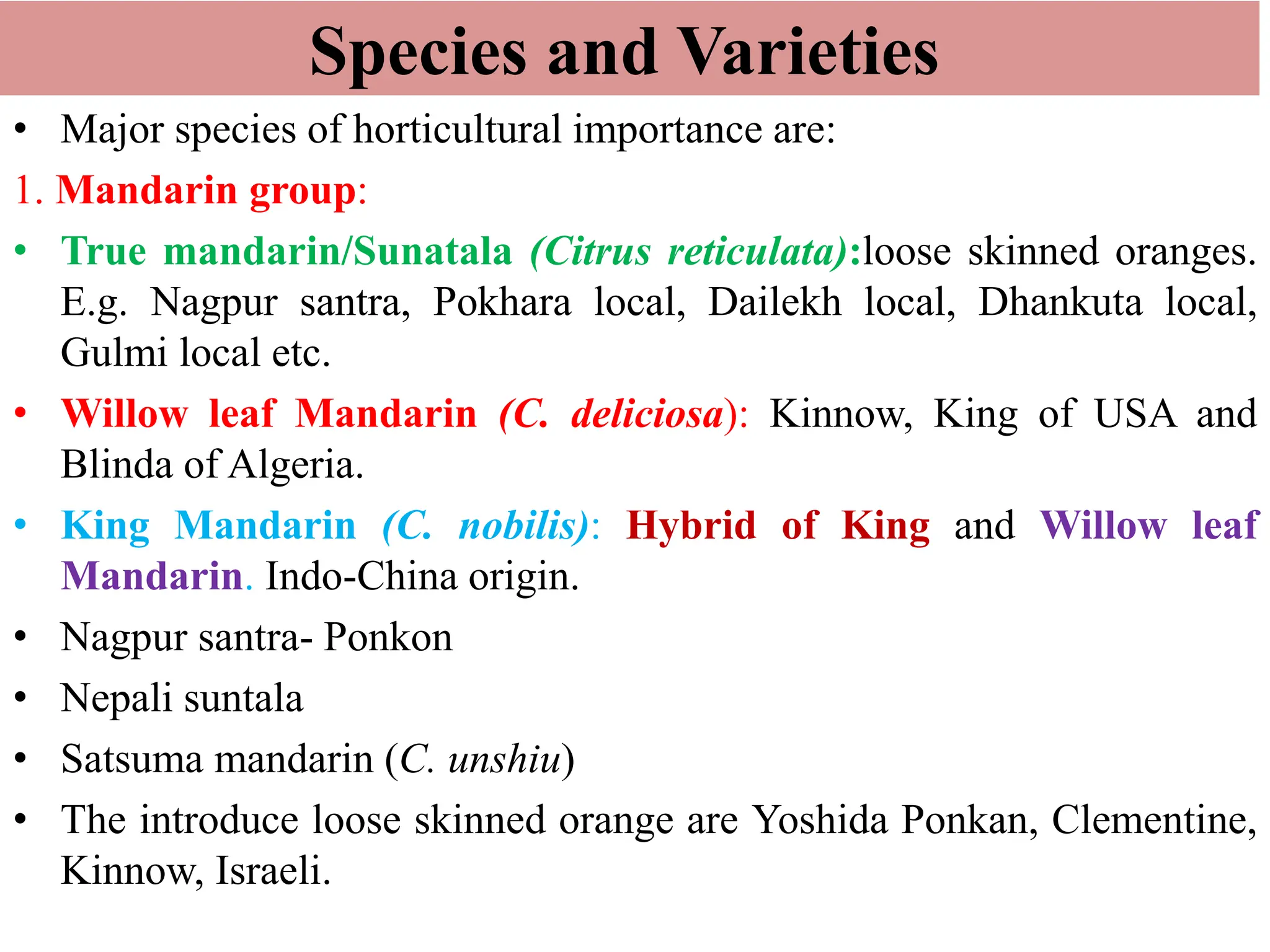 Cultivation practice of citrus in Nepal.pptx