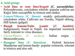 Cultivation practice of citrus in Nepal.pptx