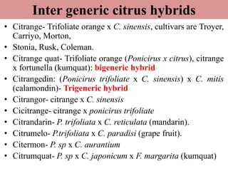 Cultivation practice of citrus in Nepal.pptx