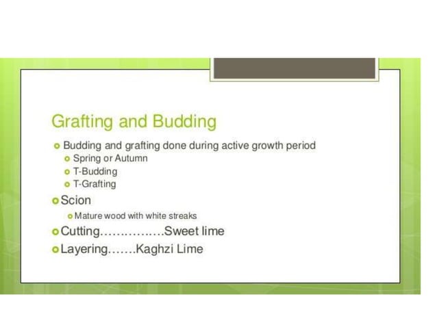 Cultivation practice of citrus in Nepal.pptx