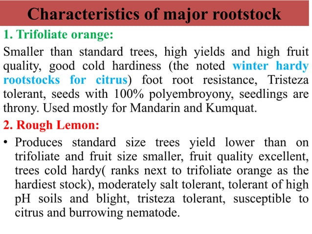 Cultivation practice of citrus in Nepal.pptx
