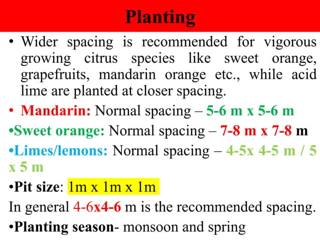 Cultivation practice of citrus in Nepal.pptx