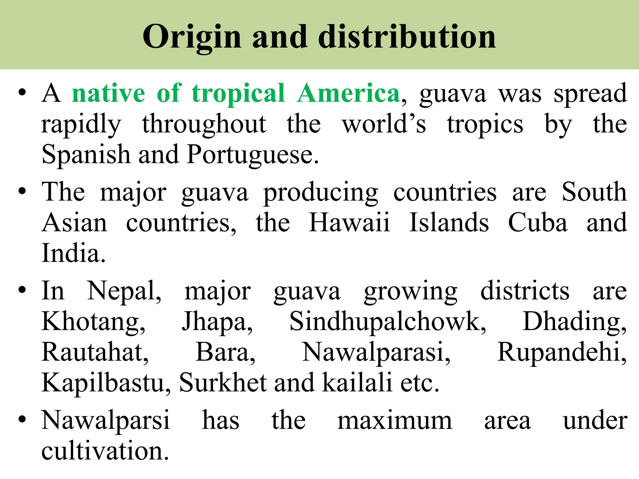 Cultivation practice of Guava in nepal.pptx