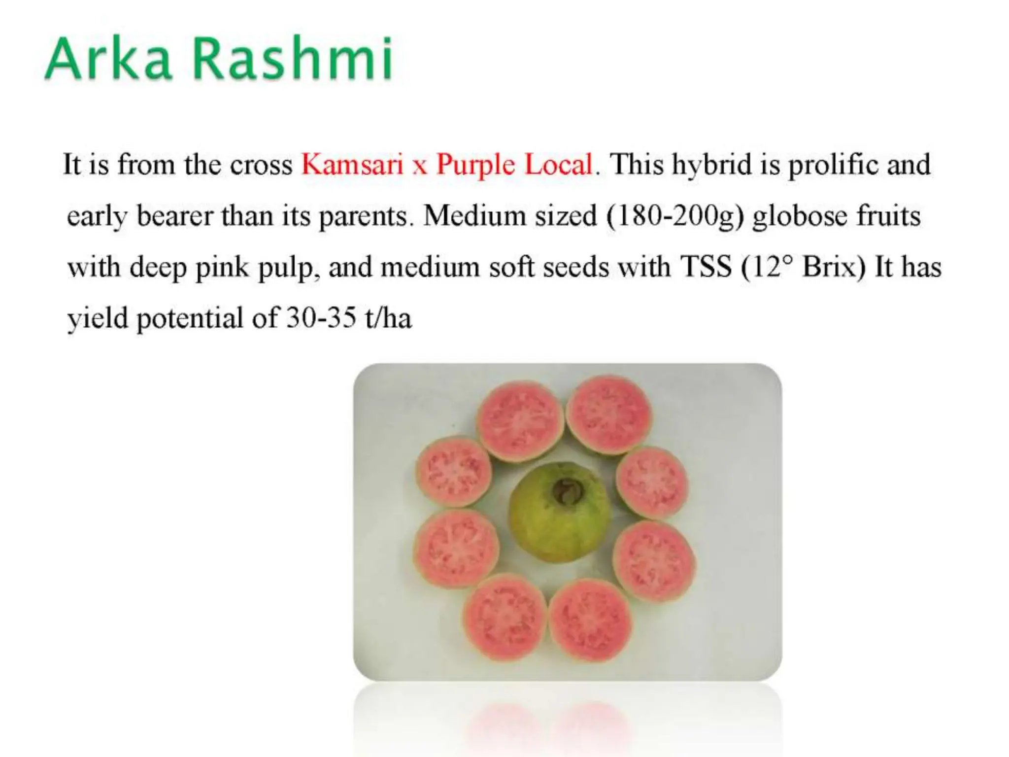 Cultivation practice of Guava in nepal.pptx