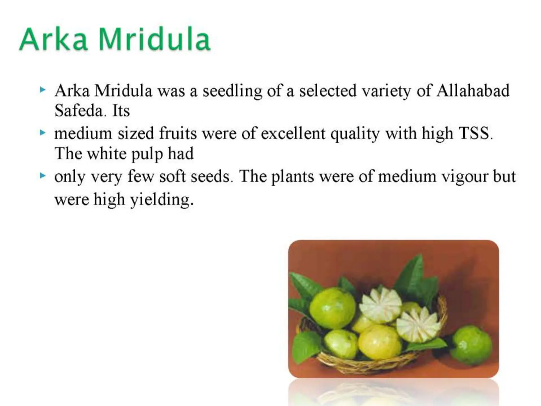 Cultivation practice of Guava in nepal.pptx