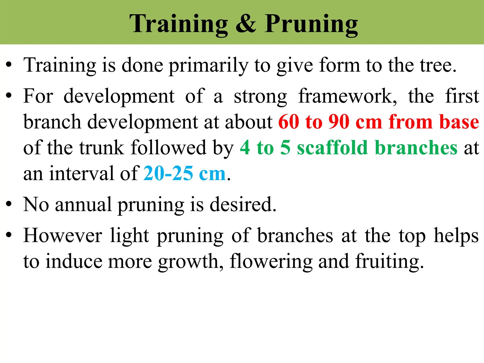 Cultivation practice of Guava in nepal.pptx