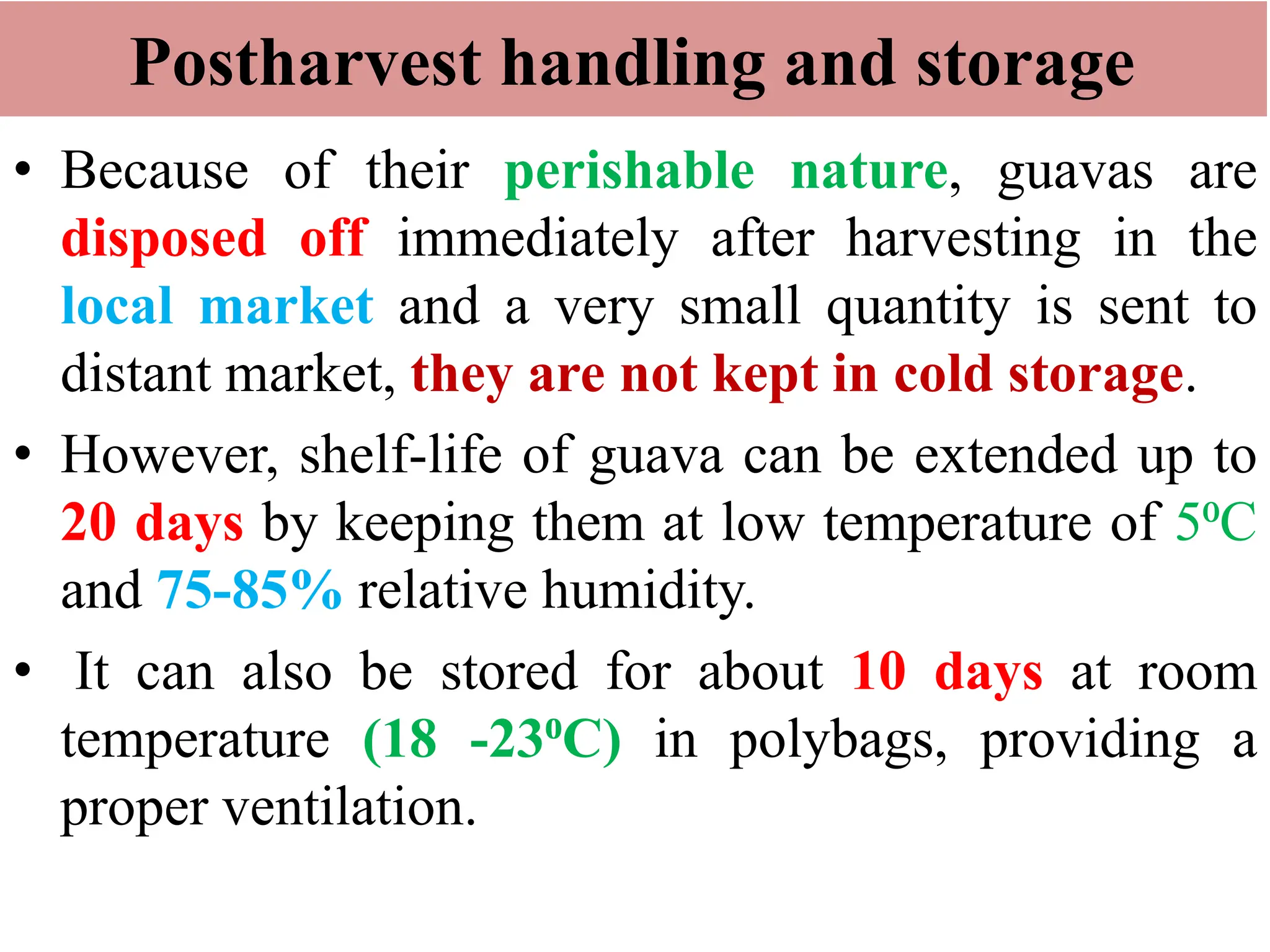 Cultivation practice of Guava in nepal.pptx