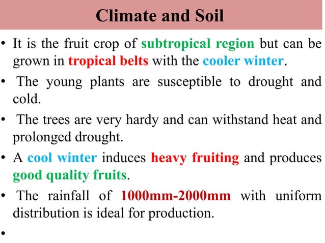Cultivation practice of Guava in nepal.pptx | Gardening | Home & Garden