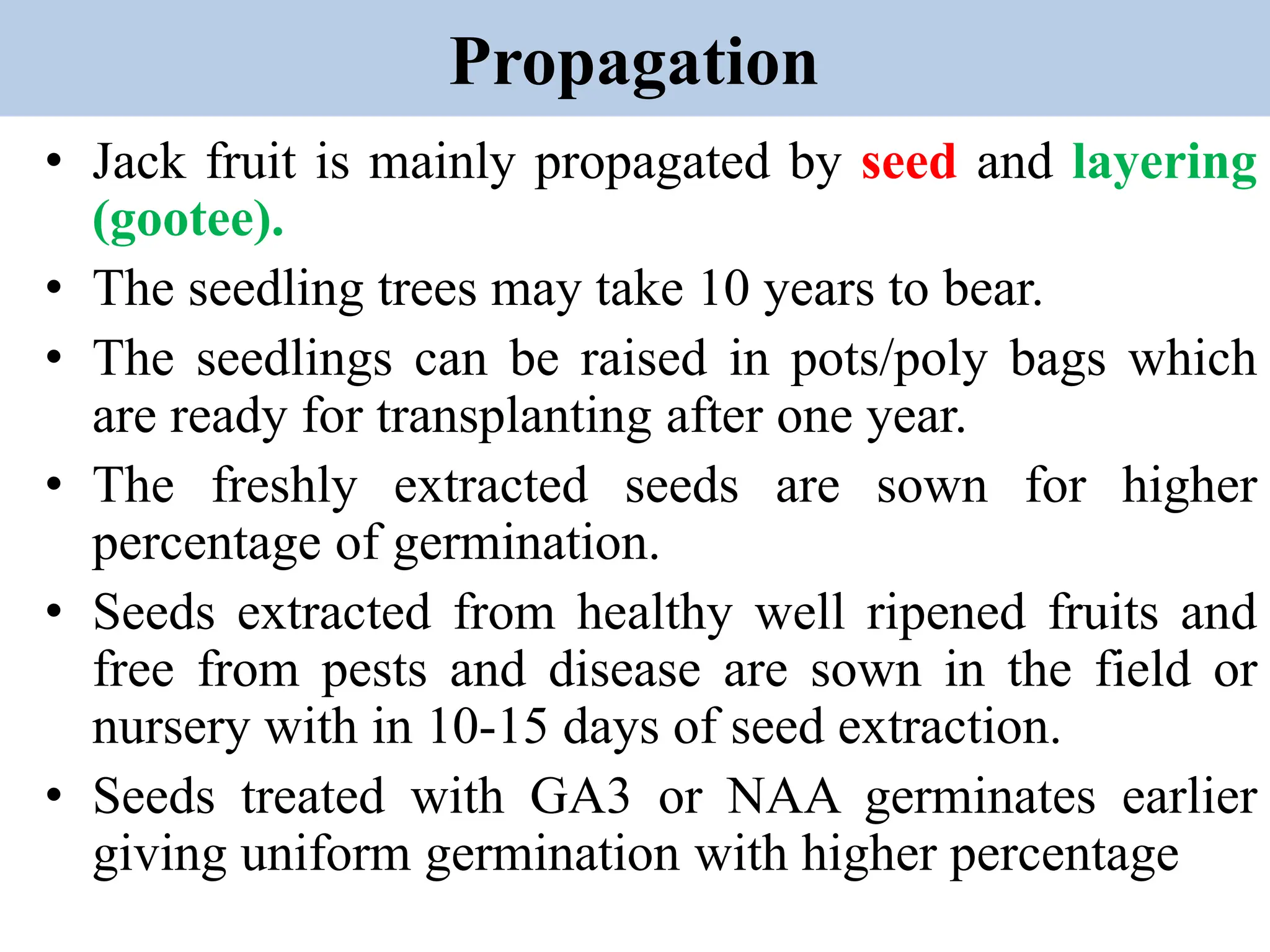 Cultivation Practice of Jackfruit in Nepal.pptx