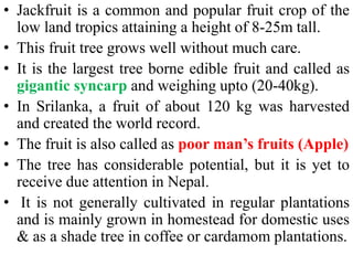 Cultivation Practice of Jackfruit in Nepal.pptx