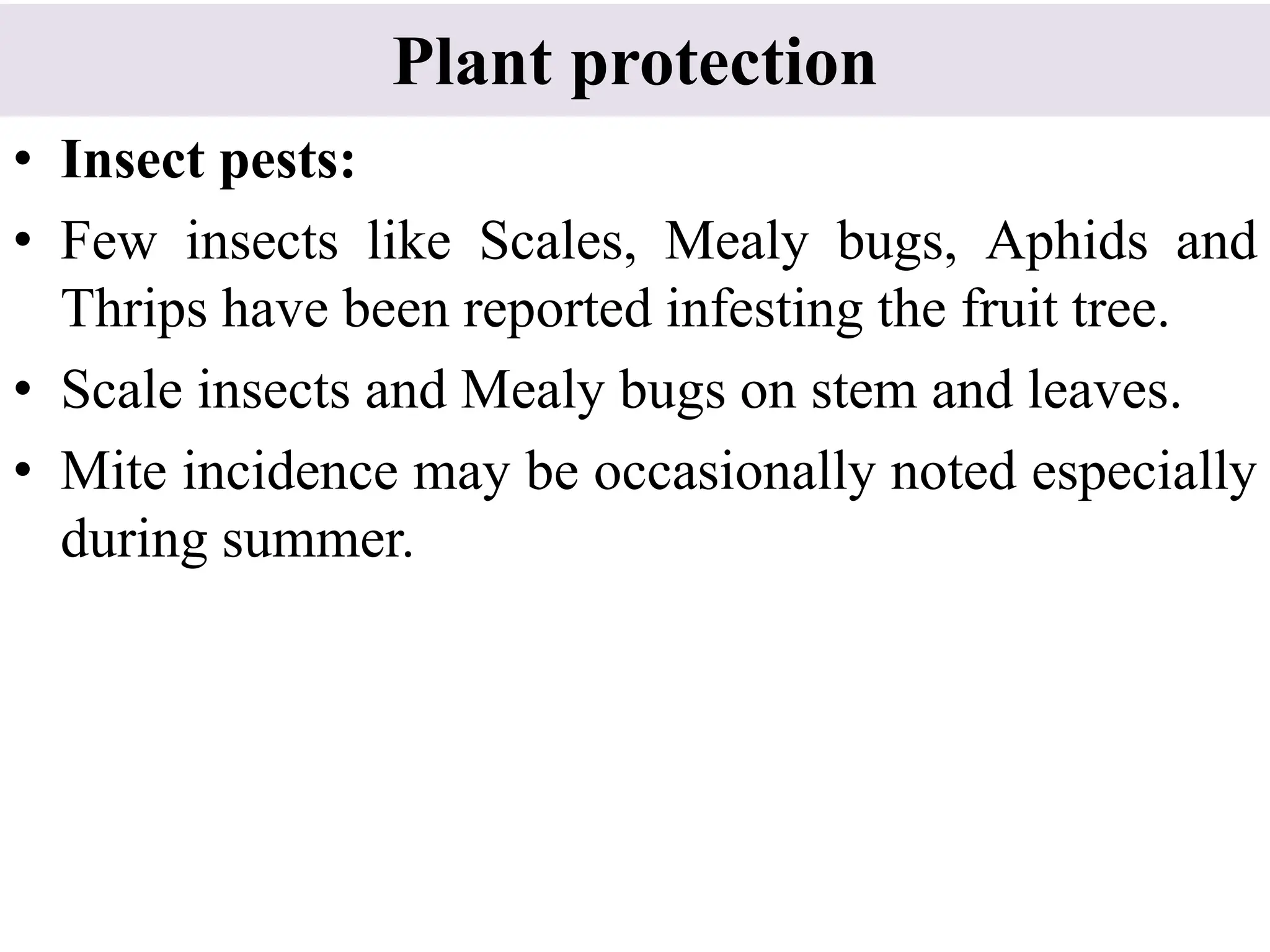 Cultivation Practice of Papaya in Nepal.pptx