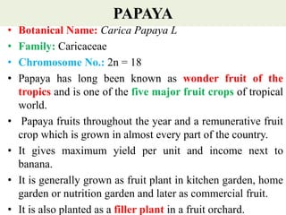 Cultivation Practice of Papaya in Nepal.pptx