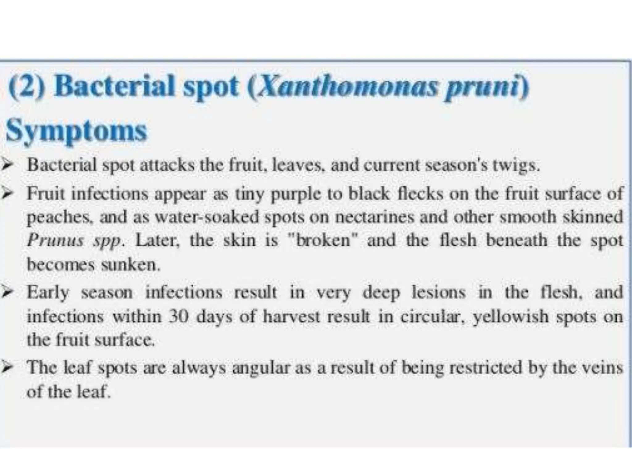Cultivation practice of peach in Nepal.pptx