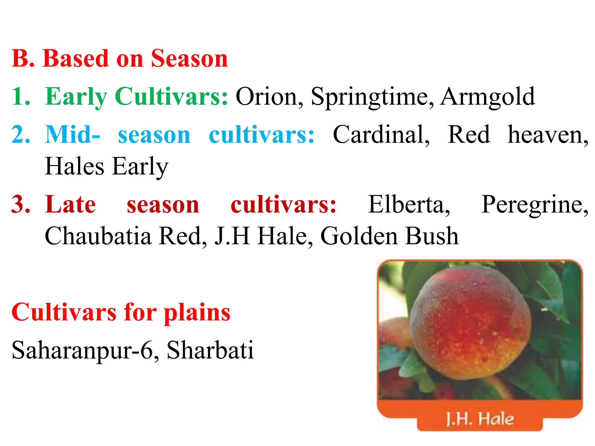 Cultivation practice of peach in Nepal.pptx