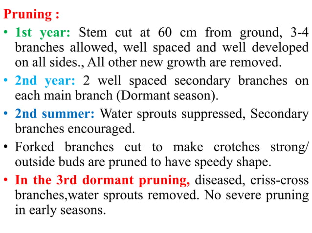 Cultivation practice of peach in Nepal.pptx | Gardening | Home & Garden
