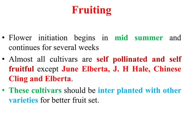 Cultivation practice of peach in Nepal.pptx | Gardening | Home & Garden
