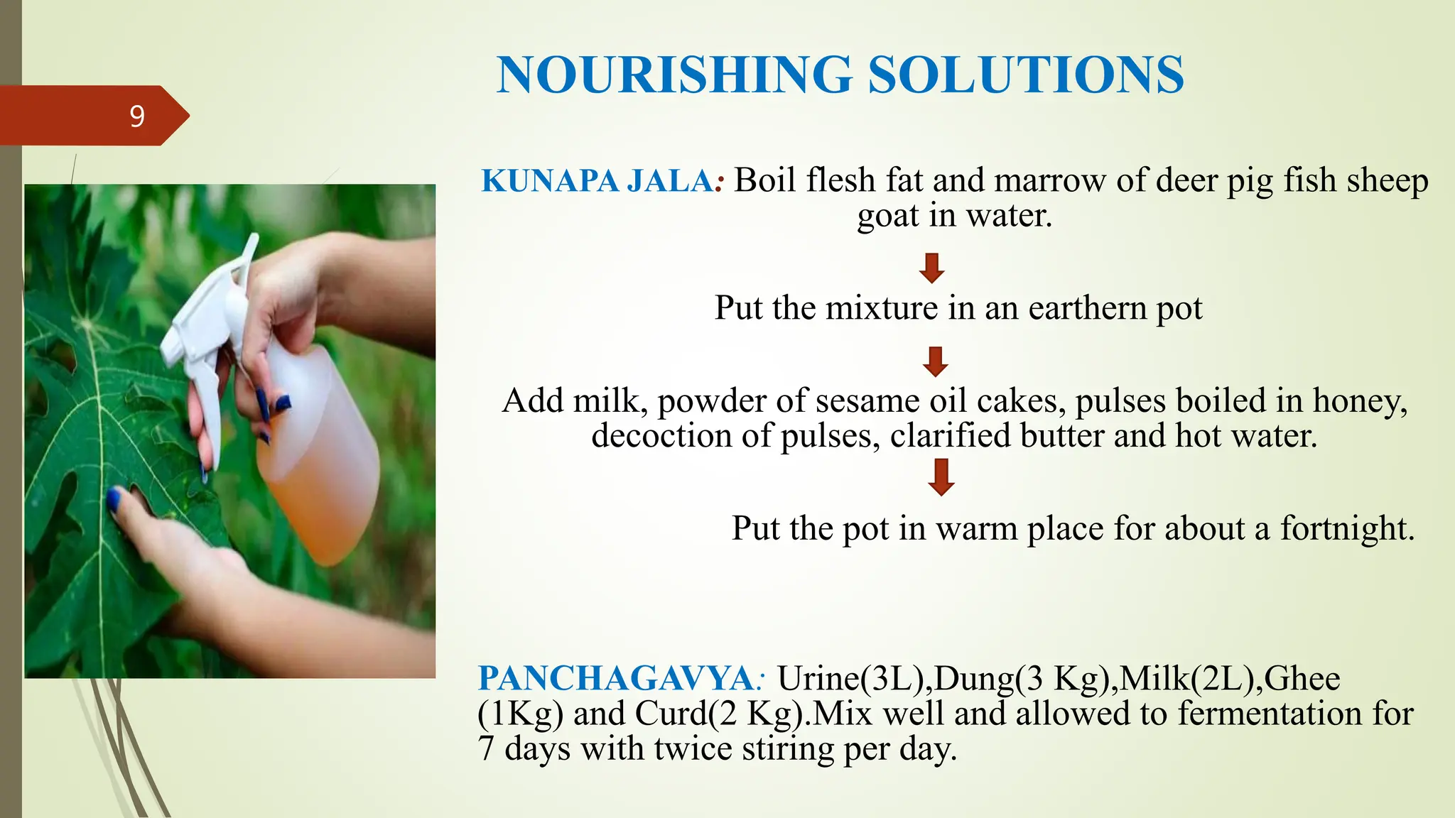 Cultivation practices in classics of Vrikshayurveda | PPTX