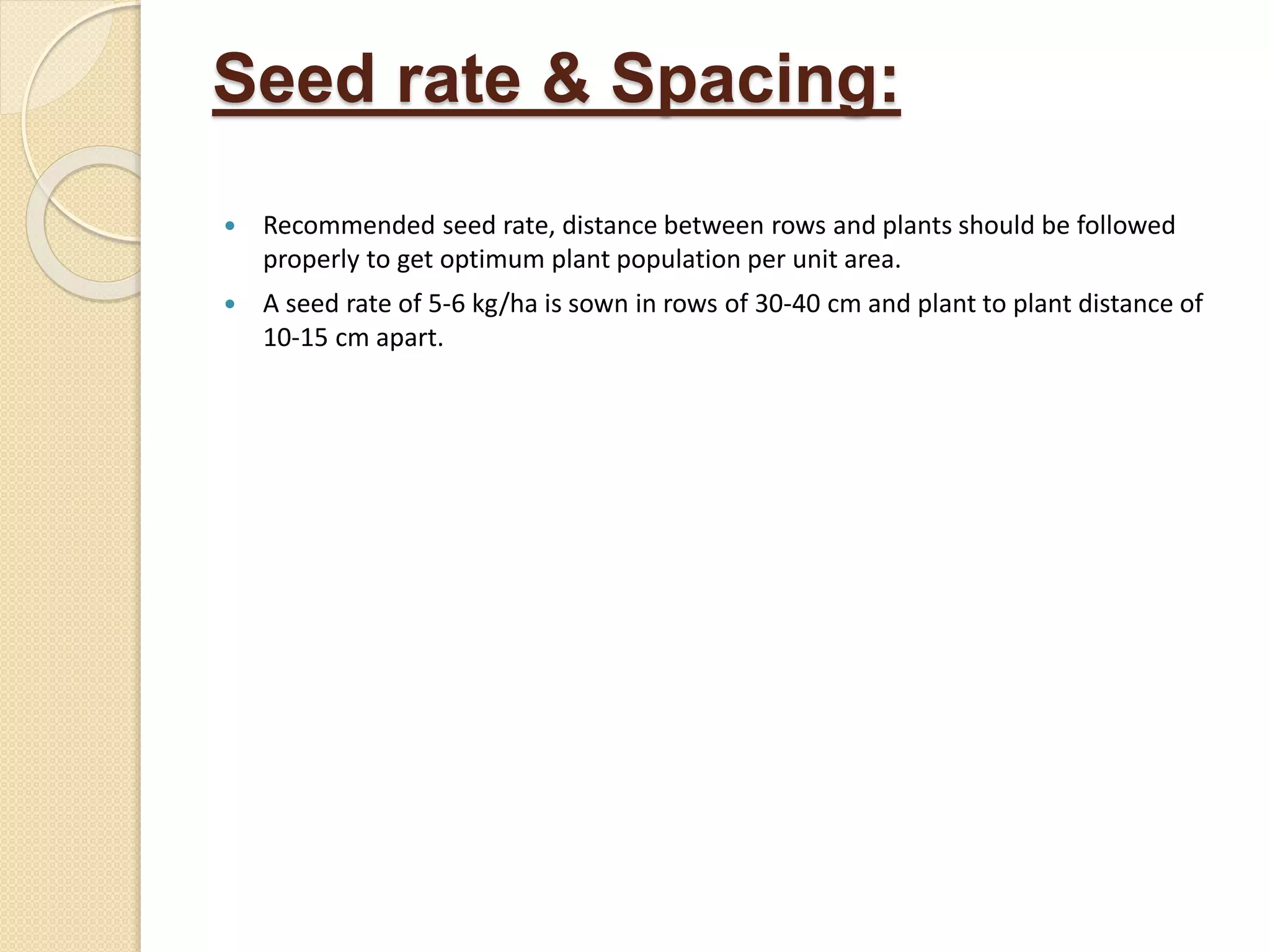 Cultivation practices of rapeseed and mustard crop ppt | PPTX