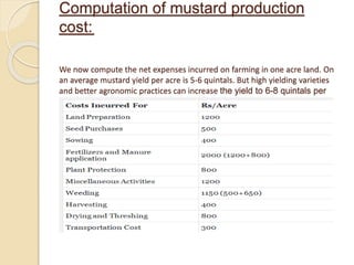 Cultivation practices of rapeseed and mustard crop ppt | PPTX