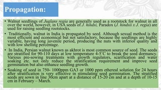 Cultivation pratices of walnut and hazel nut | PPT