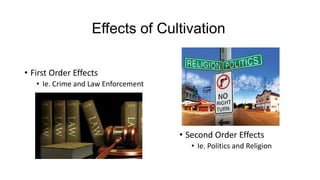 Cultivation Theory CMNS 316 | PPTX