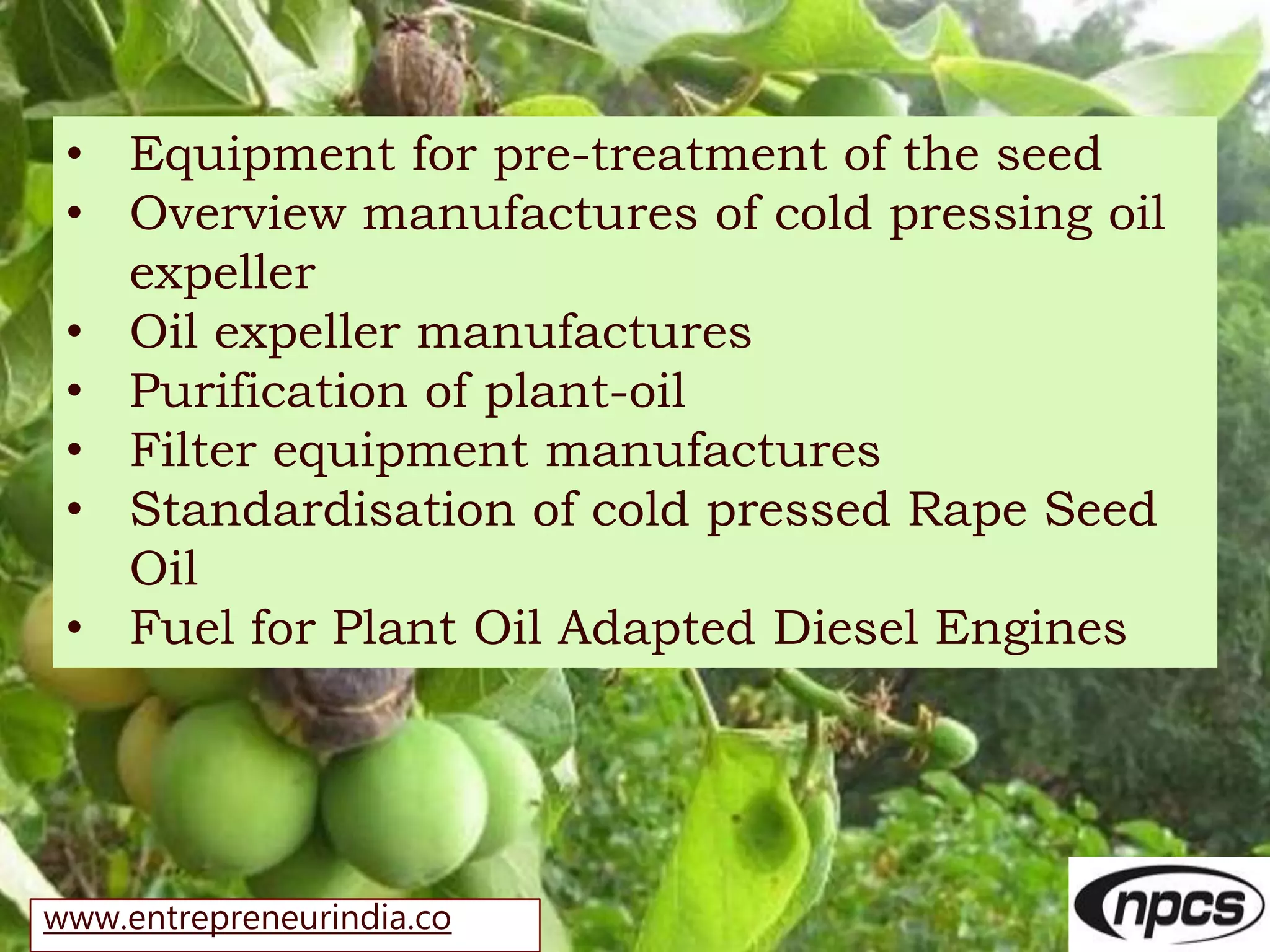 Cultivation, Processing & Uses of Jatropha (Bio-Diesel) With ...