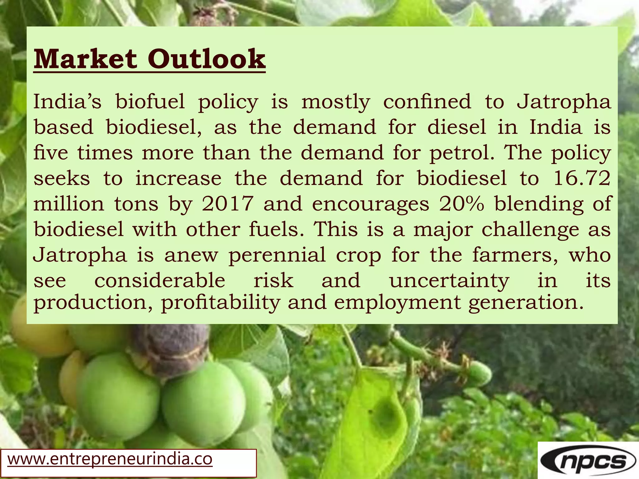 Cultivation, Processing & Uses of Jatropha (Bio-Diesel) With ...