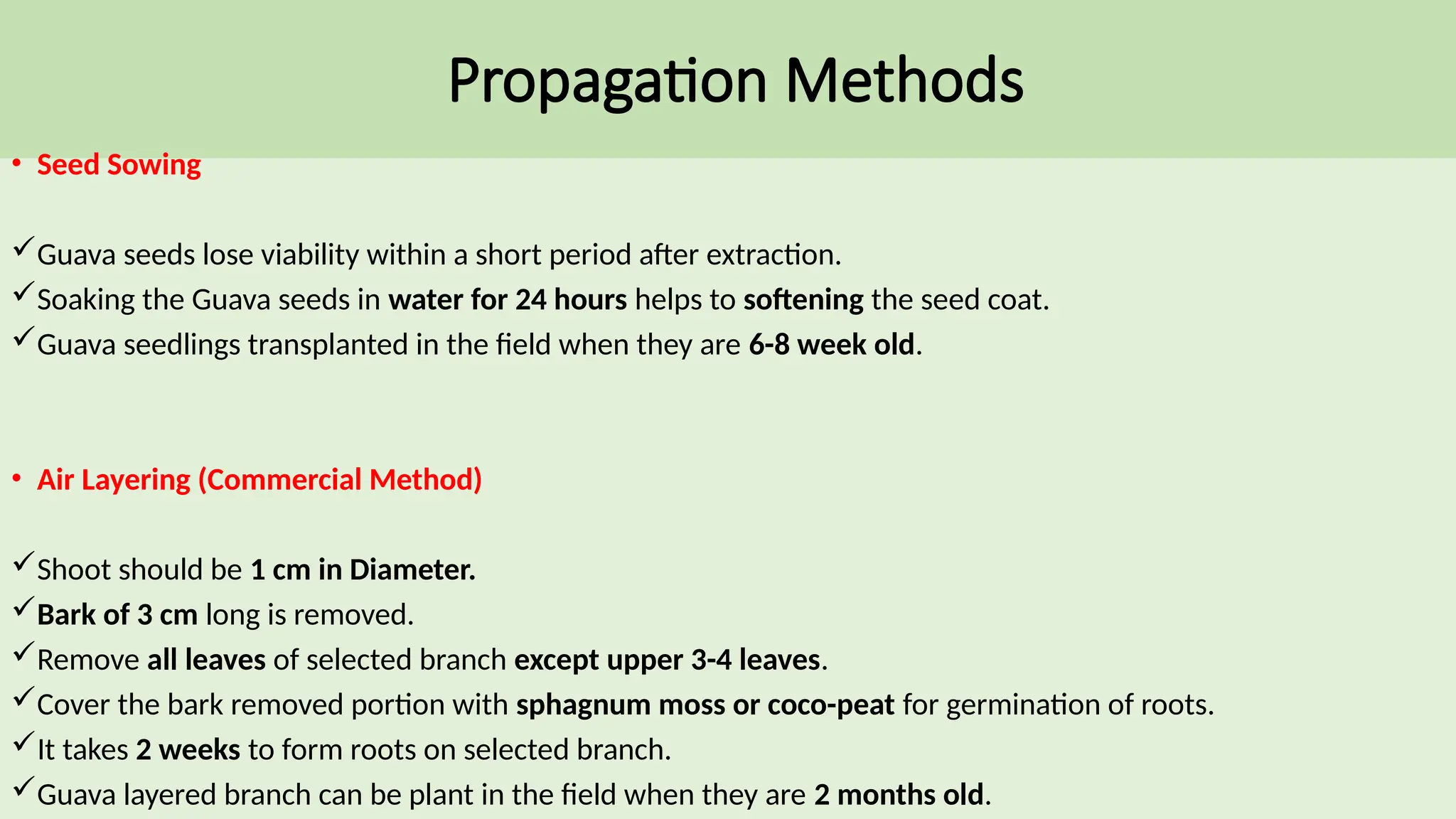 Cultivation & Production of Guava Fruit Crop.pptx