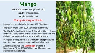 Cultivation & Production of Mango Fruit Crop.pptx