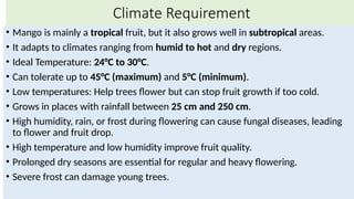 Cultivation & Production of Mango Fruit Crop.pptx