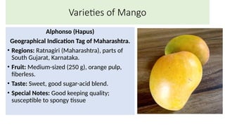 Cultivation & Production of Mango Fruit Crop.pptx