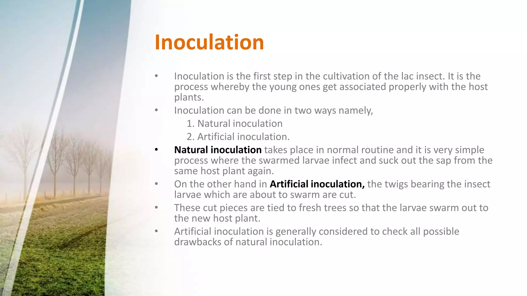 Cultivation technique of lac insect | PPTX