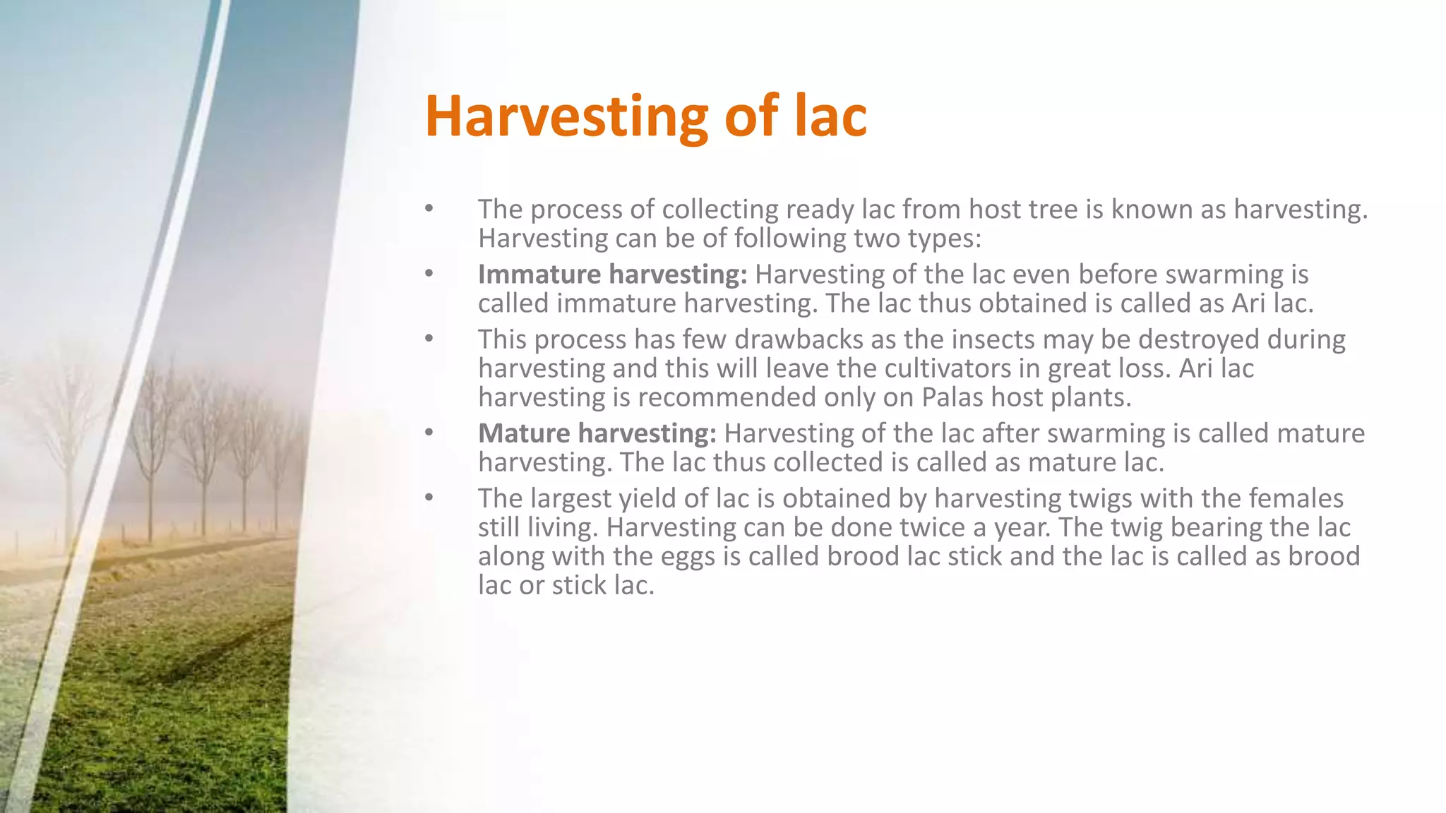 Cultivation technique of lac insect | PPTX