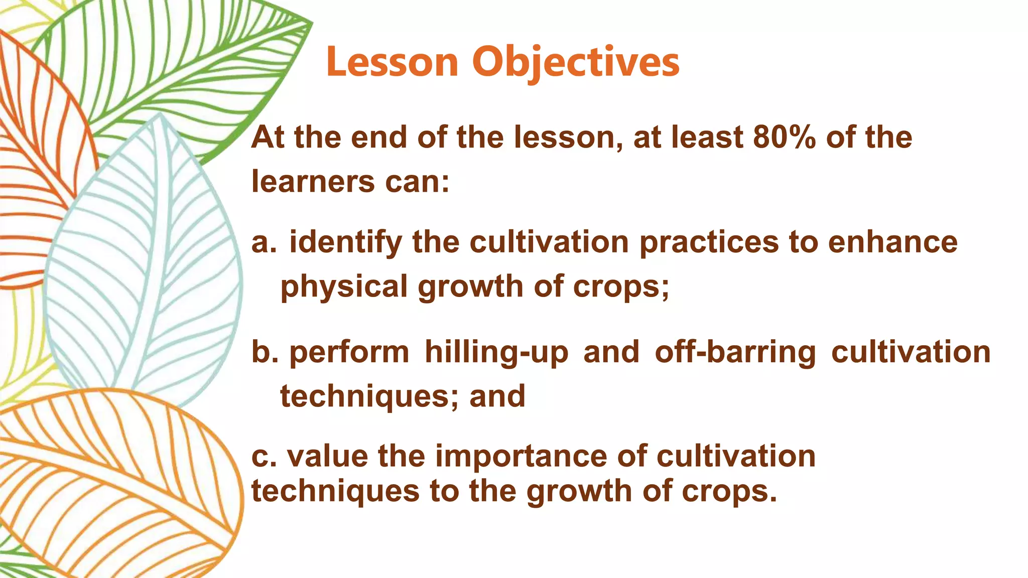 Cultivation Techniques.pptx