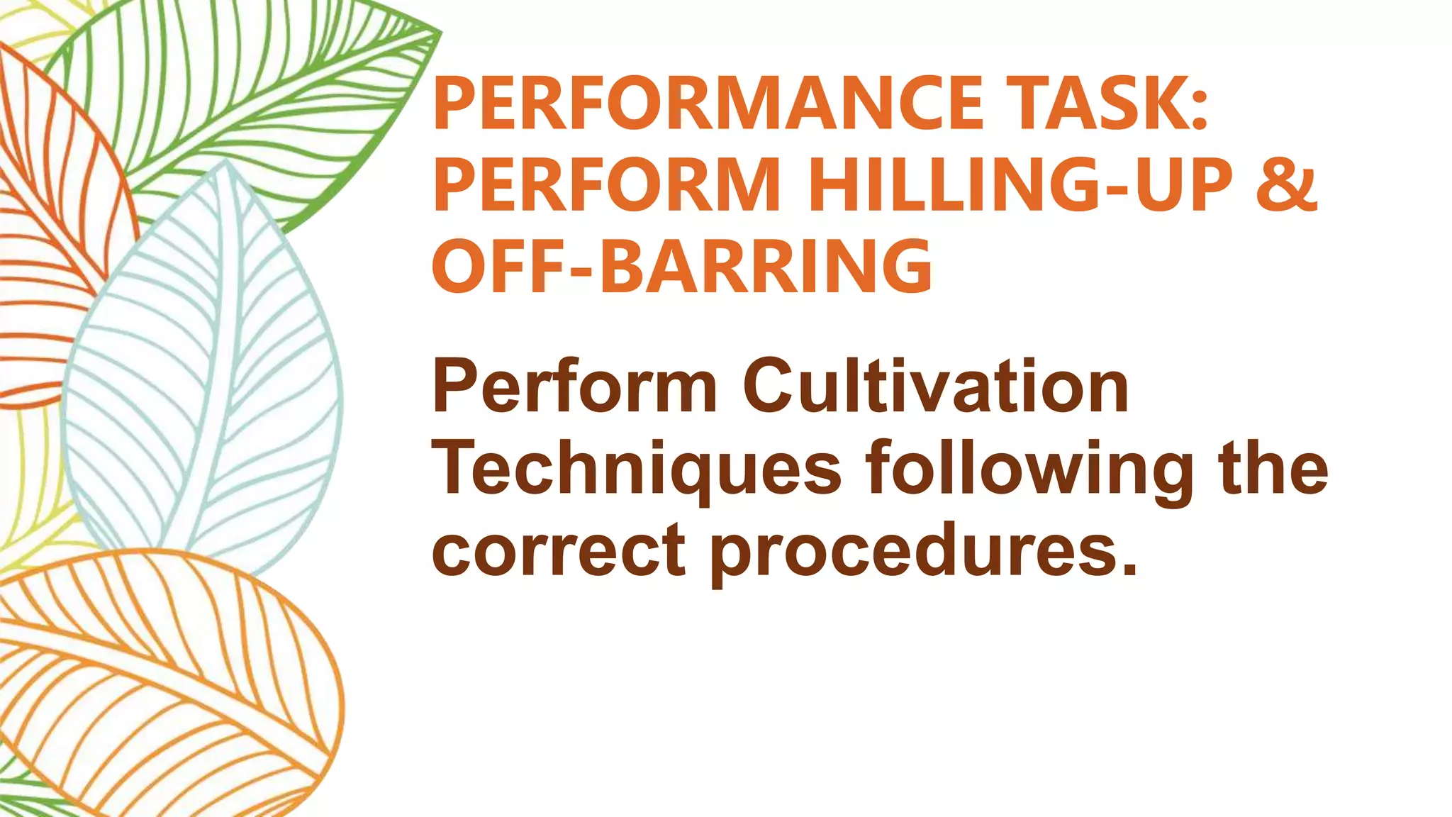 Cultivation Techniques.pptx