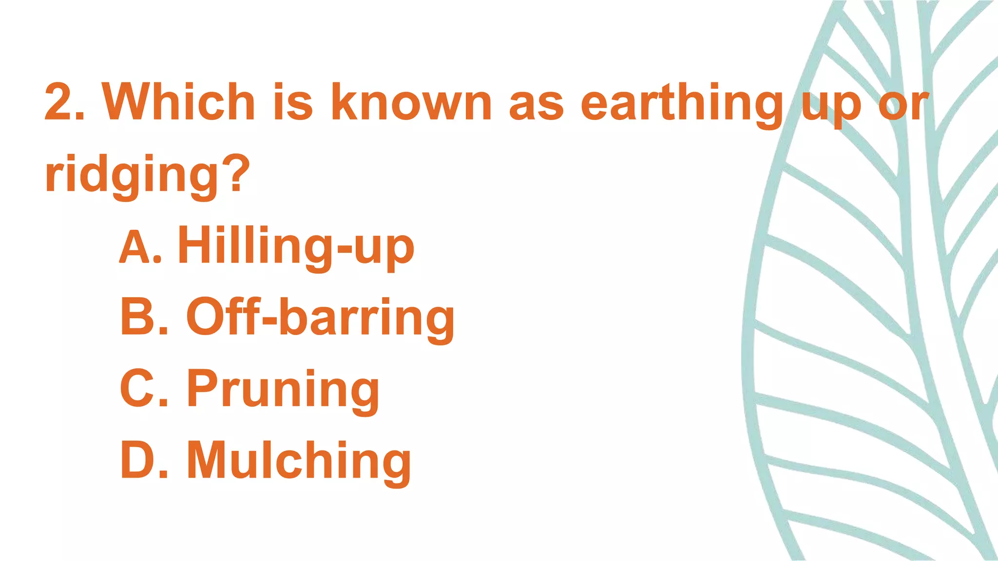 Cultivation Techniques.pptx