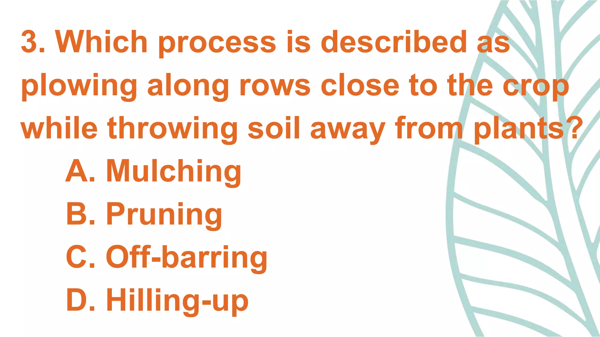 Cultivation Techniques.pptx