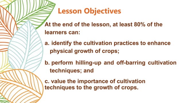 Cultivation Techniques.pptx | Agriculture | Industries
